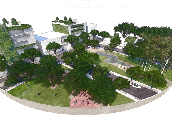 Sydney to plant 700 new street trees annually to green the city - Smart ...