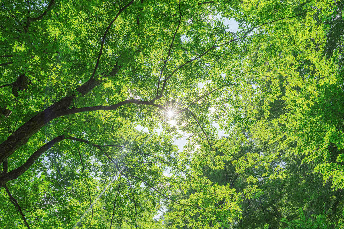 City climate investments: a year of US urban climate action - Smart ...