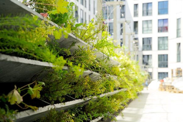 Climate action in cities: learnings to take into 2024 - Smart Cities World